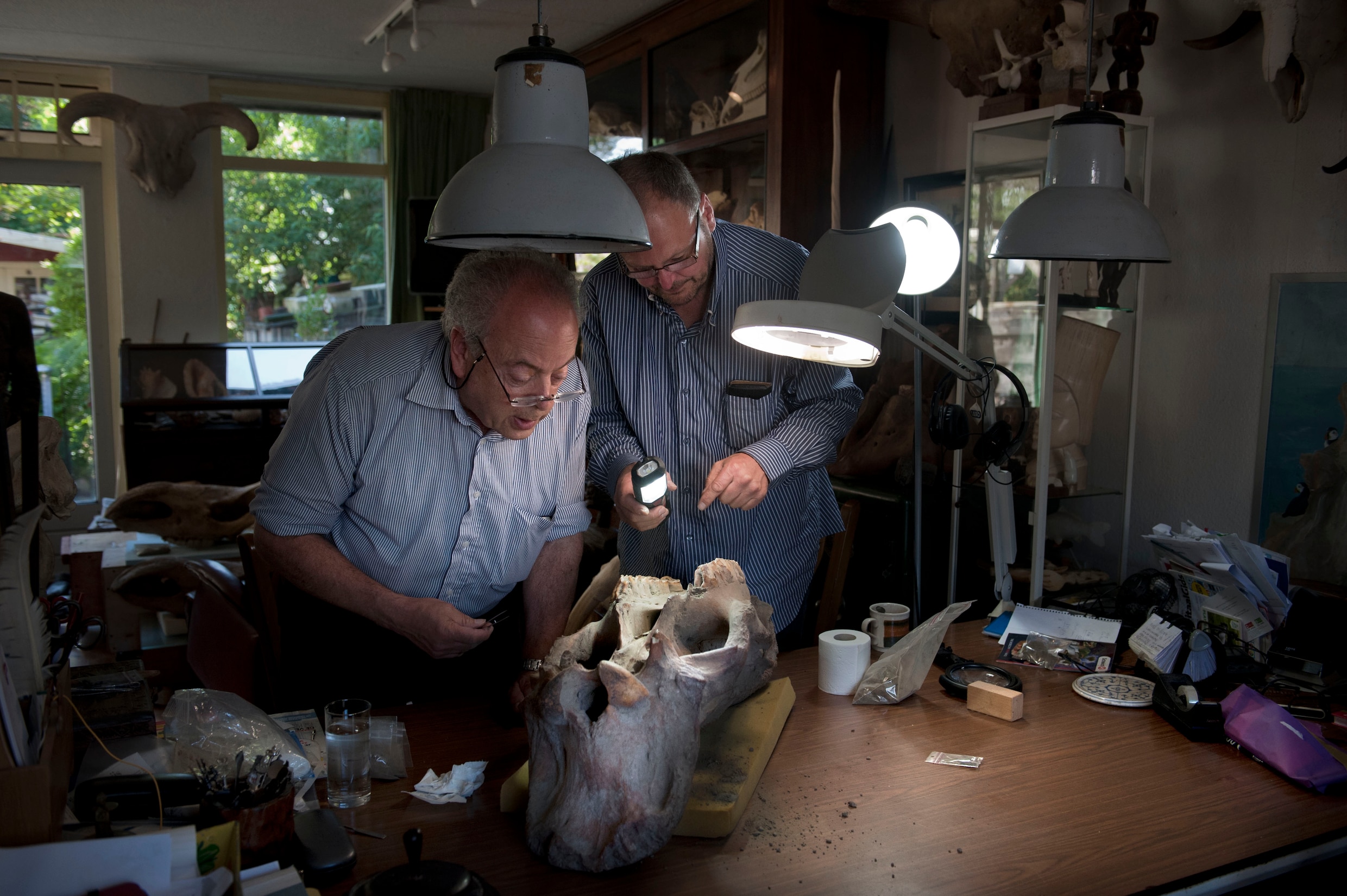 Het landschap in een holle kies | Trouw