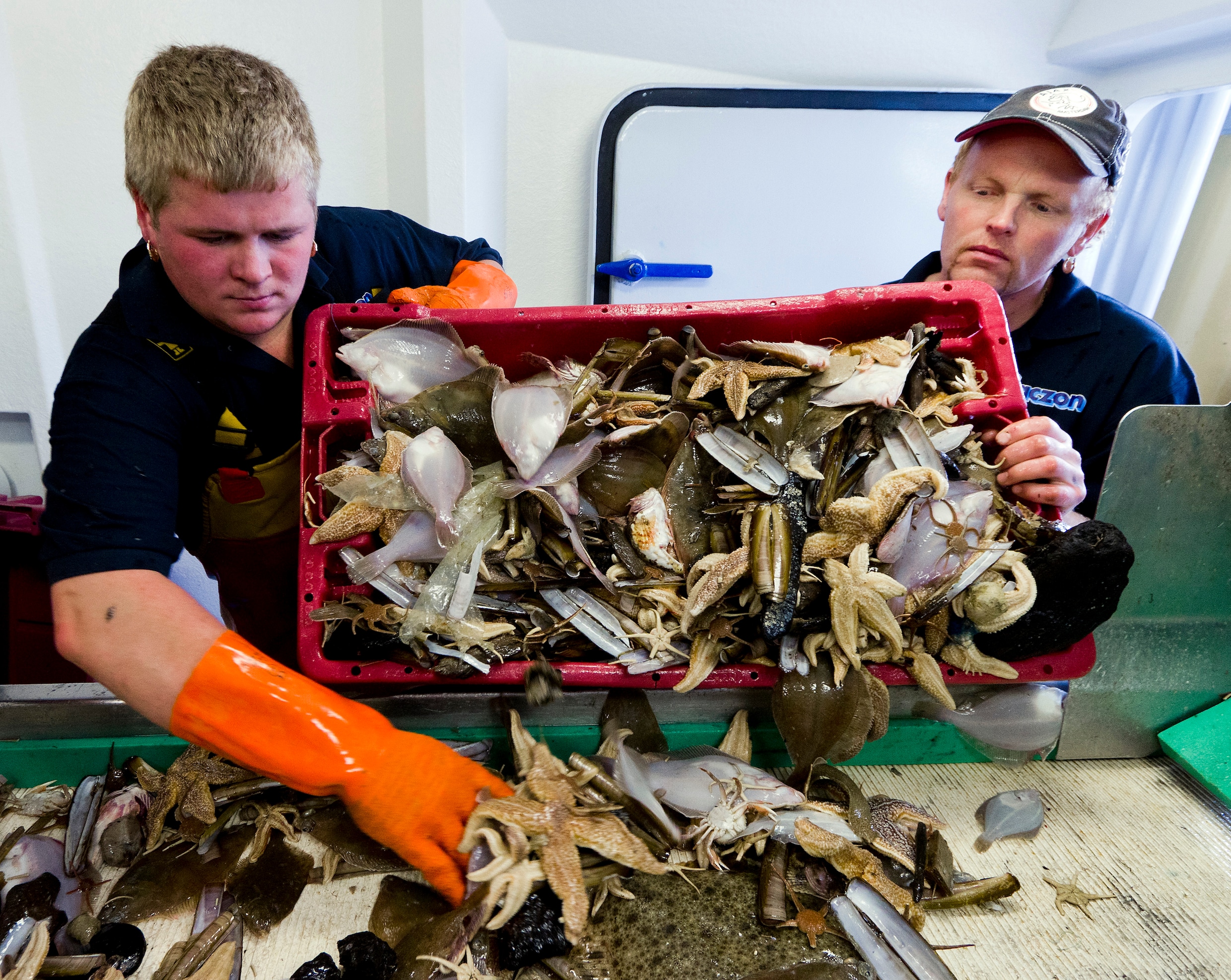 Beroepsvissers melden bijzondere bijvangsten zelden nog. ‘Zwijgen is ...