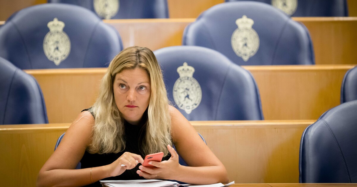 Tegen de term 'scheefwoner' kan SP'er Sandra Beckerman zich moeilijk ...