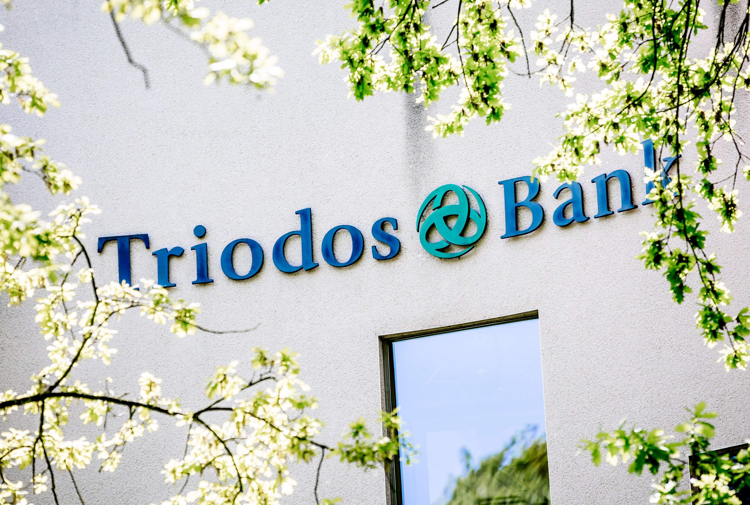 Triodos sluit beursgang niet uit nu certificaten problemen geven | Trouw