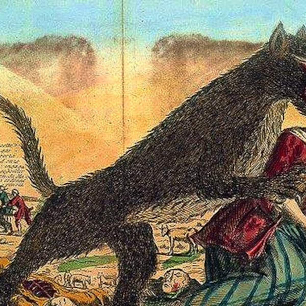 Grote Boze Wolf De Grote Boze Vos Filmkrant
