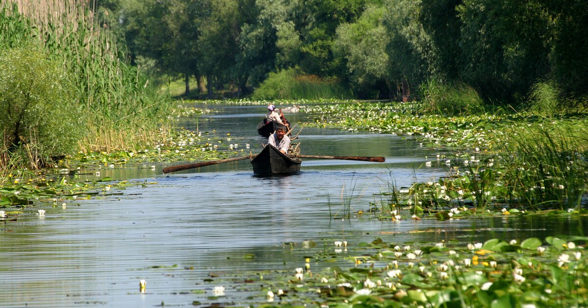 Dit is de grootste rivierdelta van Europa en een paradijs voor ...