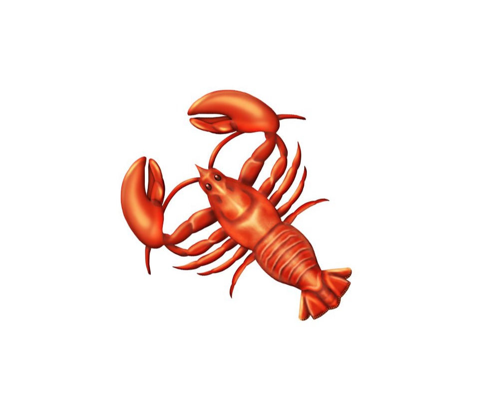 Kreeft-emoji krijgt na protesten alsnog het juiste aantal poten | Trouw