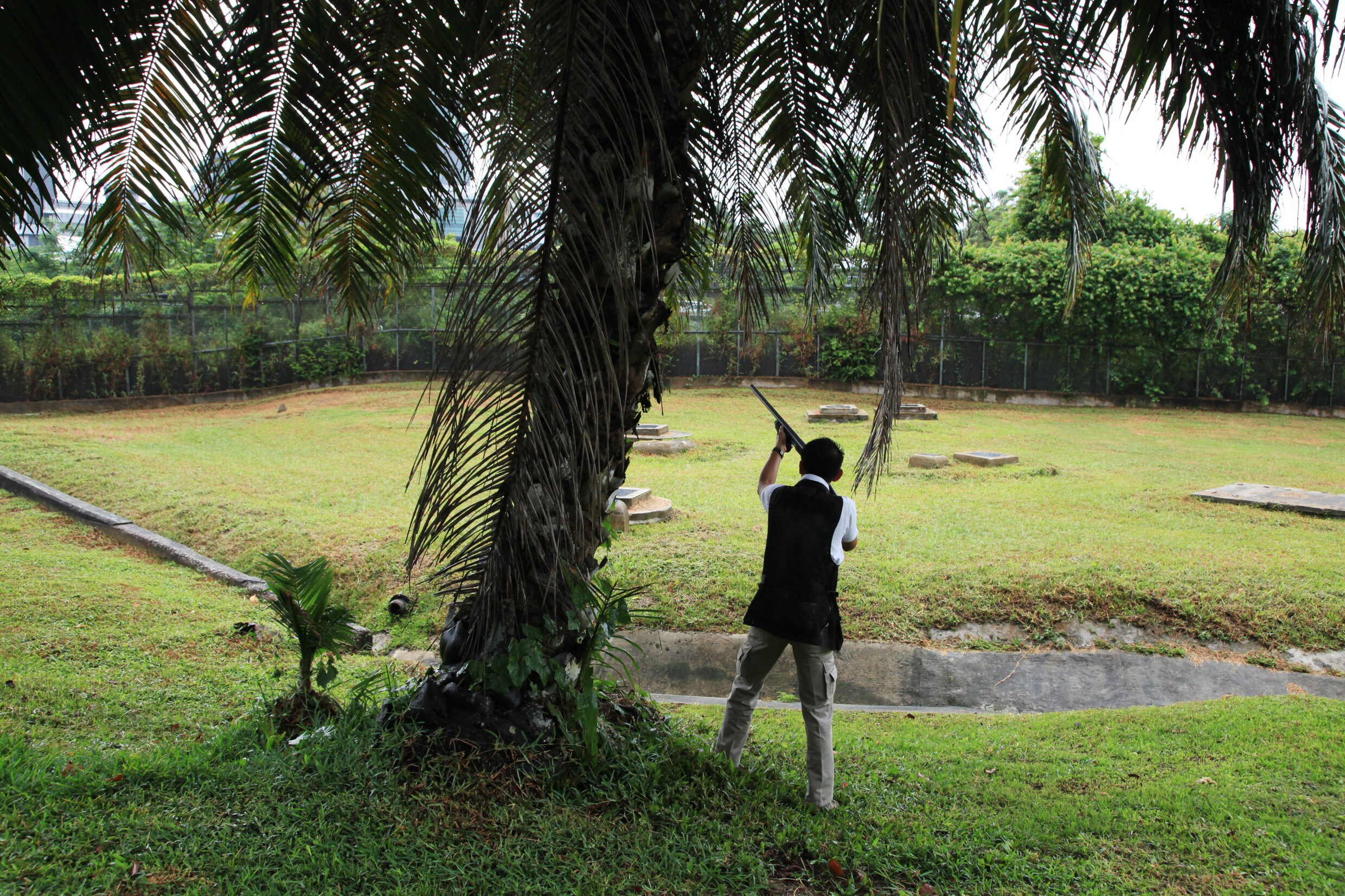 Gas, gif en kogels tegen de vogels in Singapore | Trouw