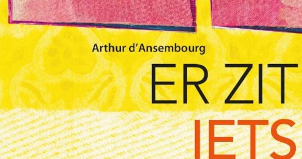 'Er zit iets achter' toont de kunstenaar als een beeldend filosoof | Trouw