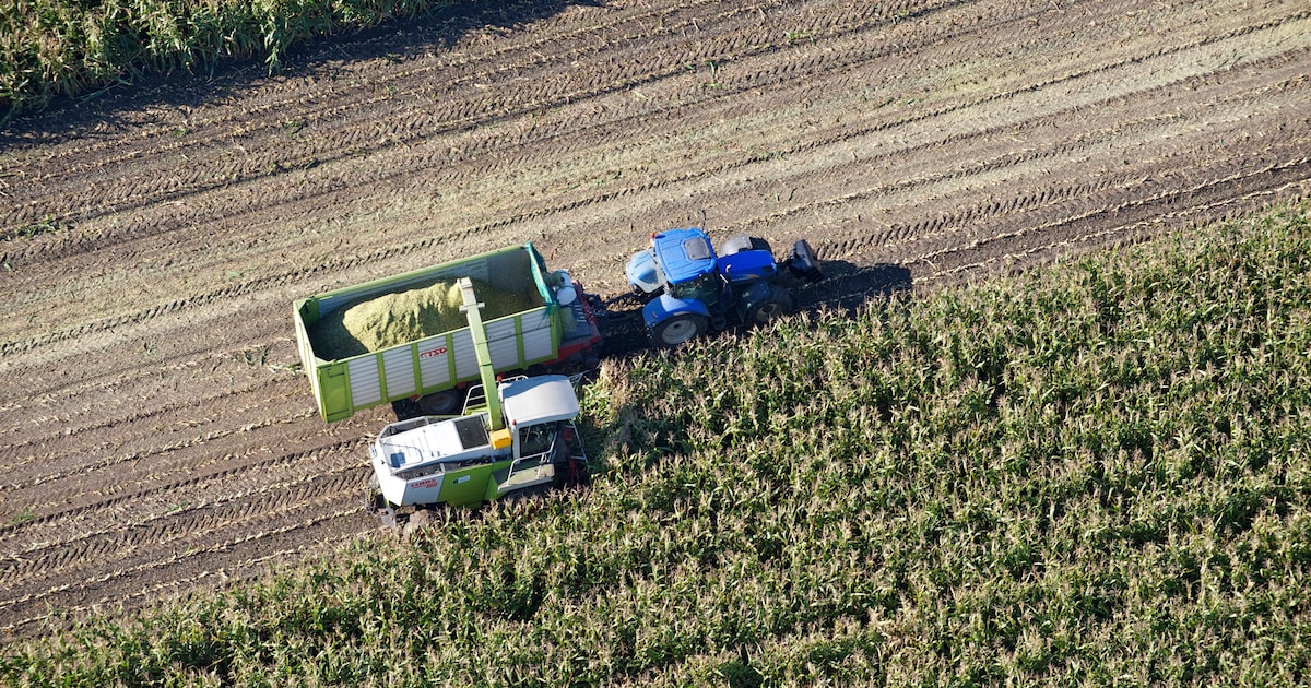 Rabobank droeg bij aan landbouwproblemen, erkent directeur | Trouw