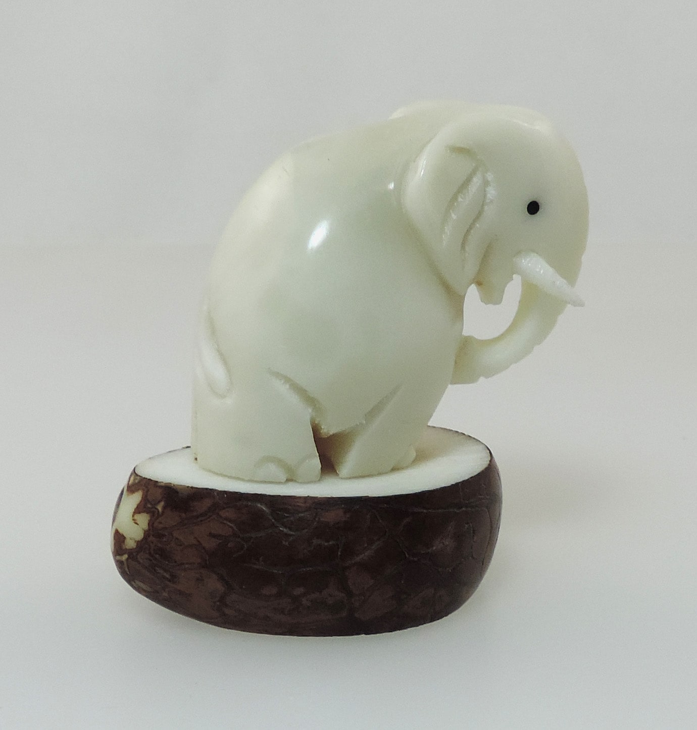 Hoe de olifantplant kan helpen de olifant te redden | Trouw