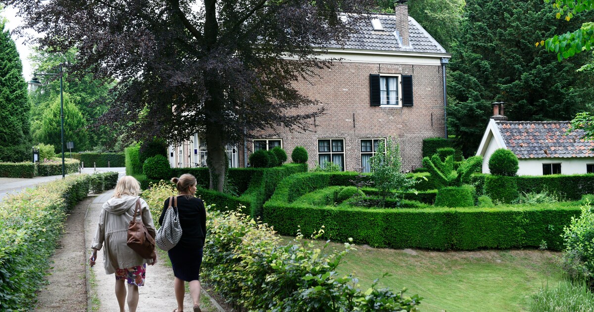 Rozendaal betaalt fors voor zijn zelfstandigheid, maar dat heeft de ...