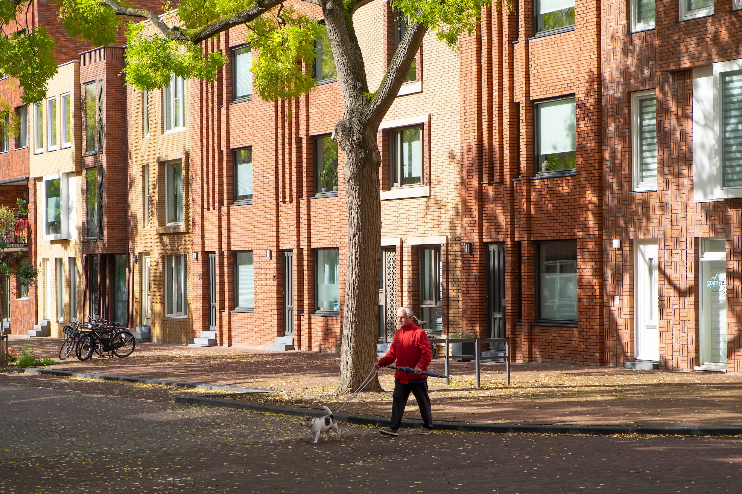 Kabinet trekt 600 miljoen uit voor verbetering kwetsbare wijken | Trouw