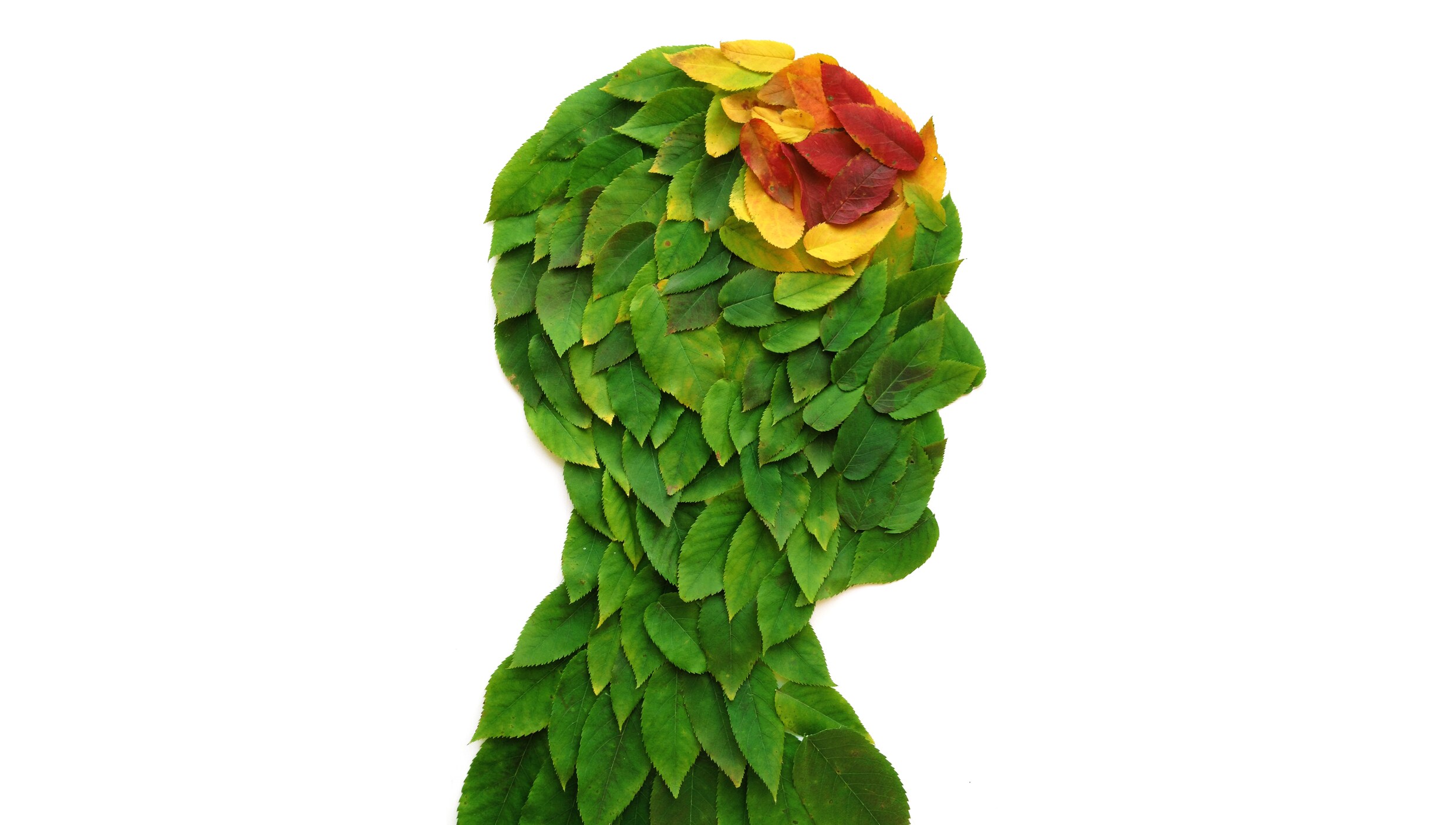 Een trauma gaat in je brein zitten, zegt de expert uit eigen ervaring ...