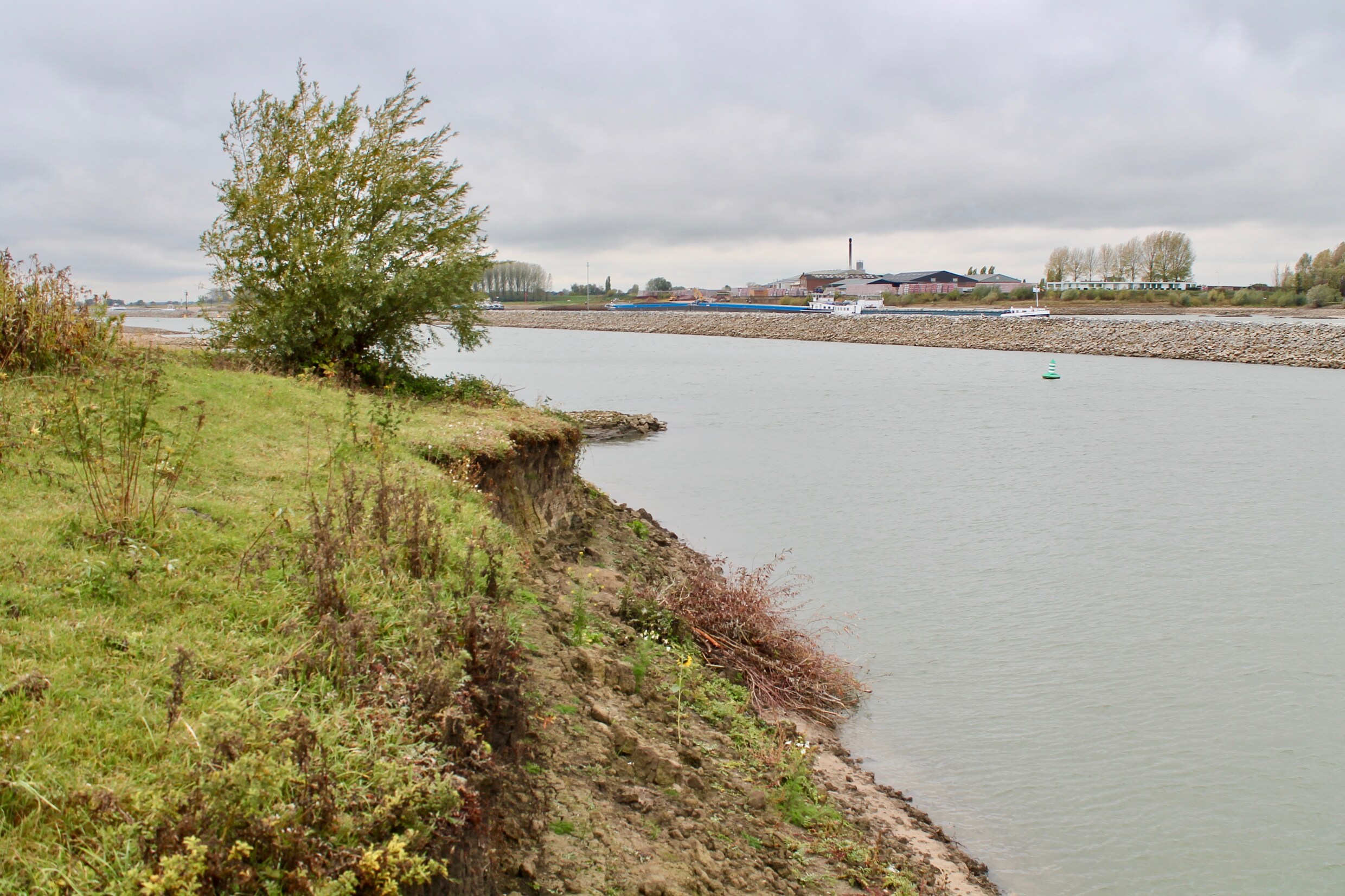 Strandwandelen in rivierenland | Trouw