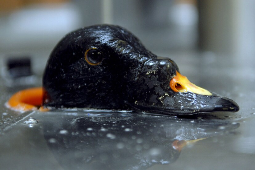 Schepen lozen nog steeds illegaal oliewater op zee, ook in Europese ...