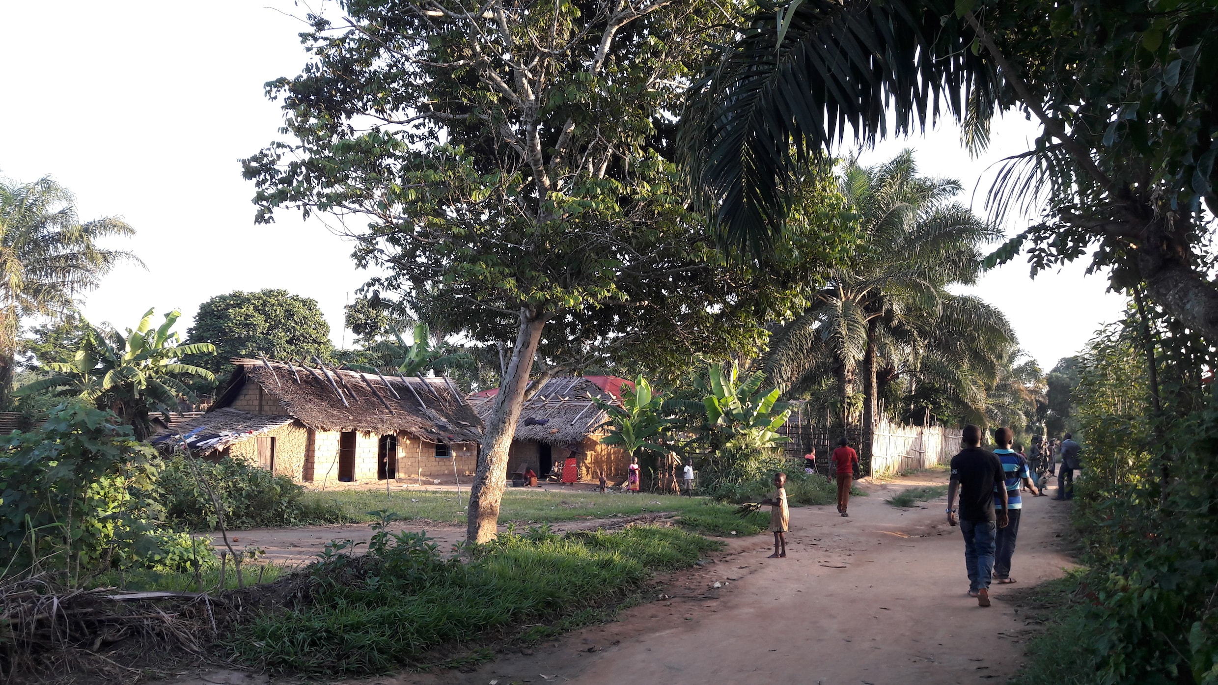 Meindert Brouwer zet zich in voor het regenwoud van Congo: ‘Er ...