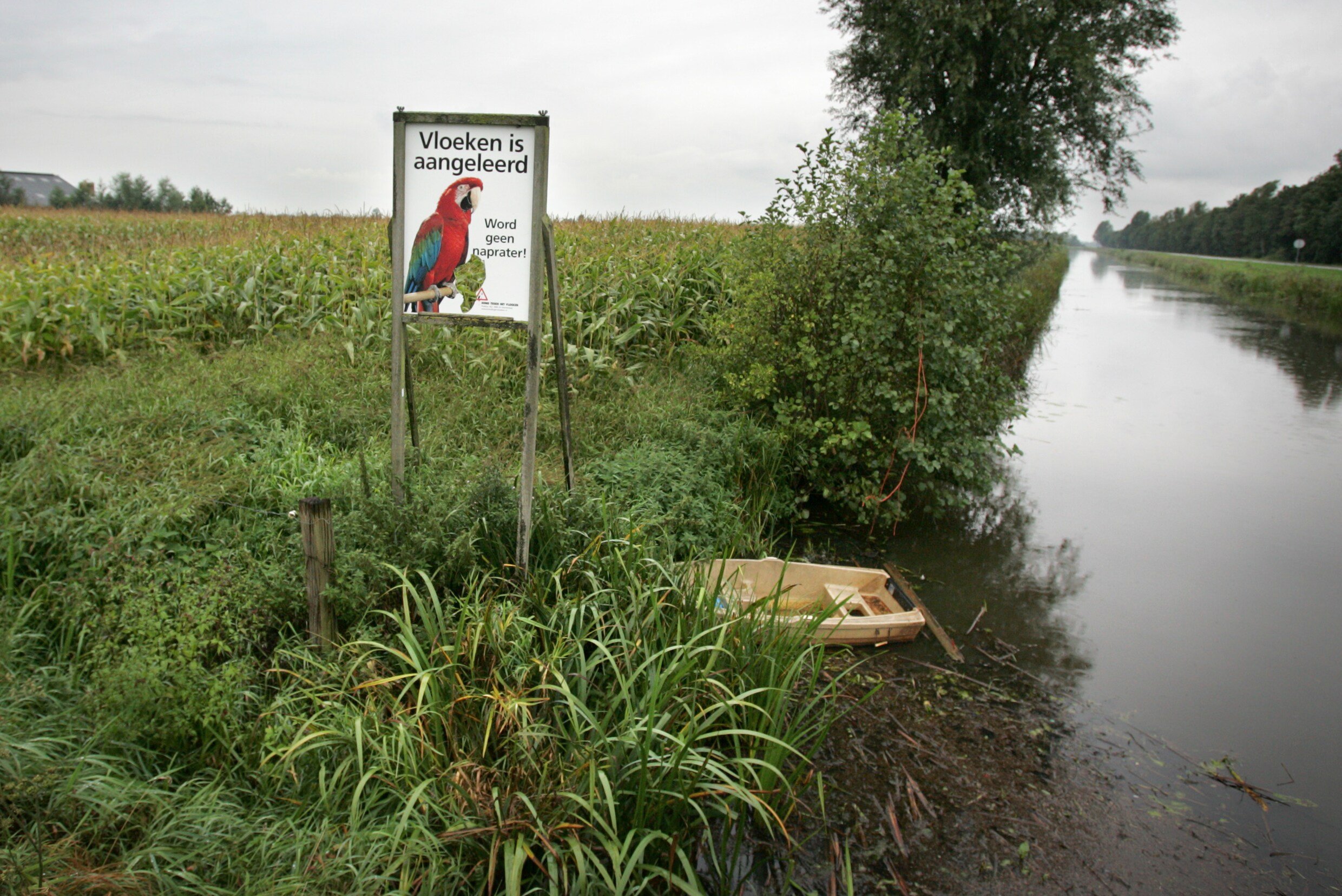 Schelden doet Nederlanders meer pijn dan vloeken | Trouw
