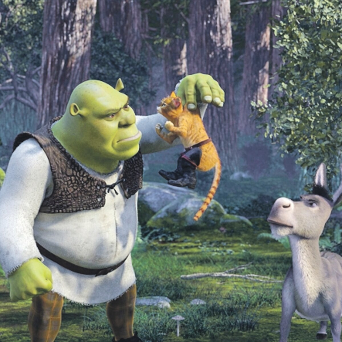 Verdrietige Ezel Shrek Shrek 4: Voor Eeuwig En Altijd (Dvd), Niet