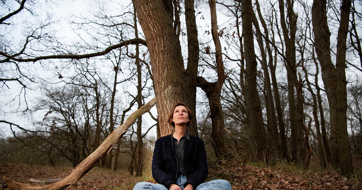 Waarom het Japanse bosbaden zo gezond is | Trouw