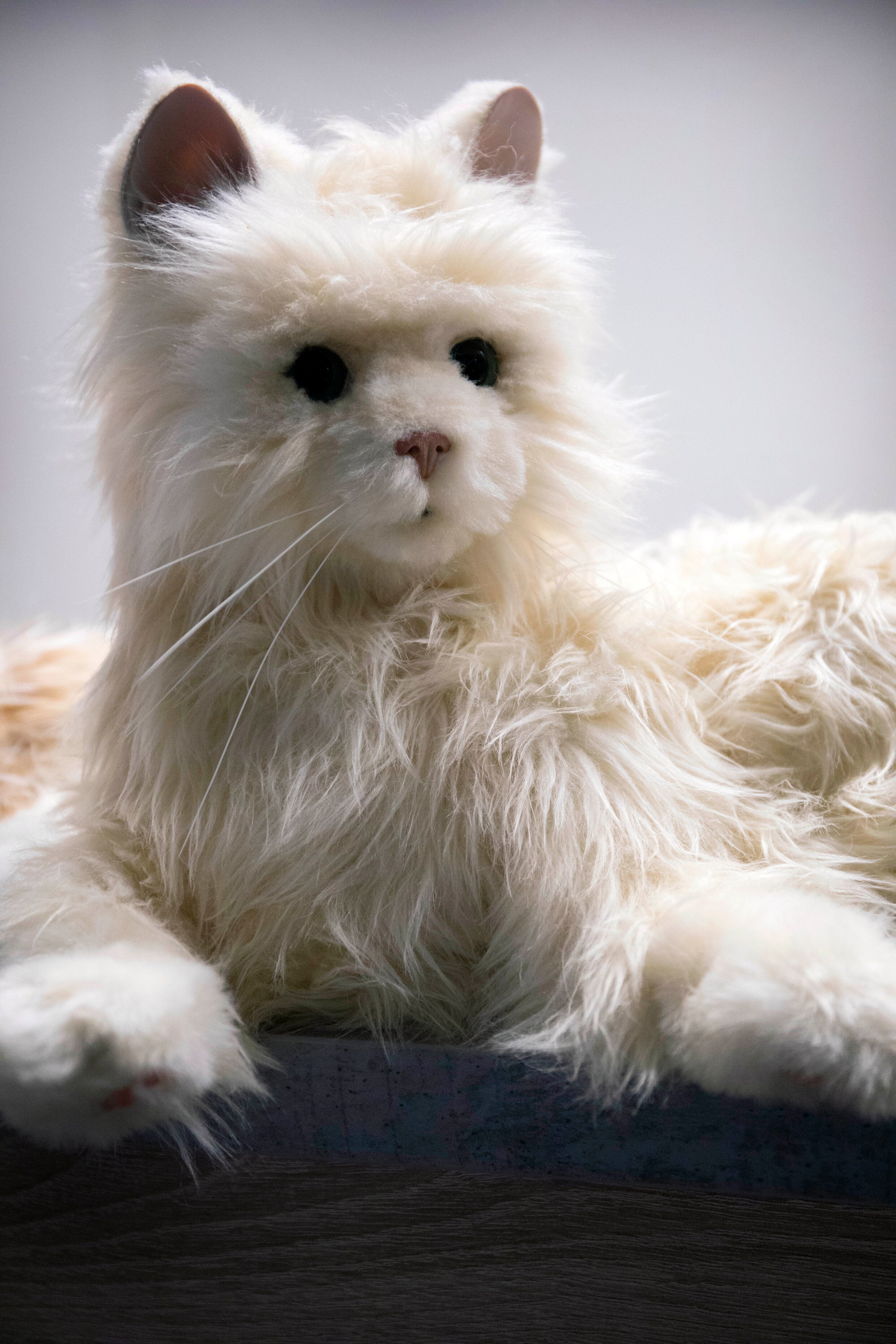 Als bloempot ziet die zorgrobot er best gezellig uit | Trouw