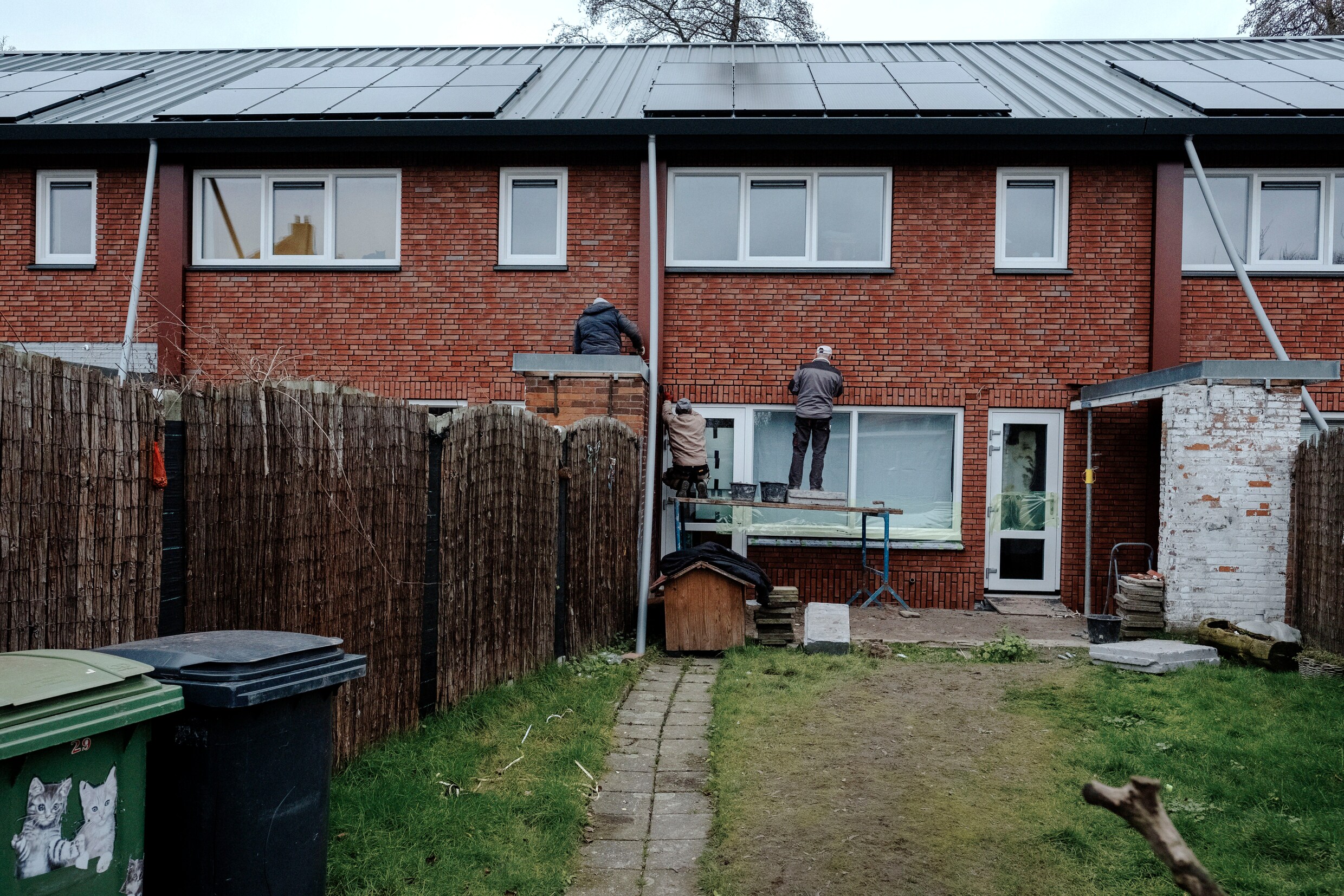 Het kan: je huis vergroenen met een klein budget | Trouw