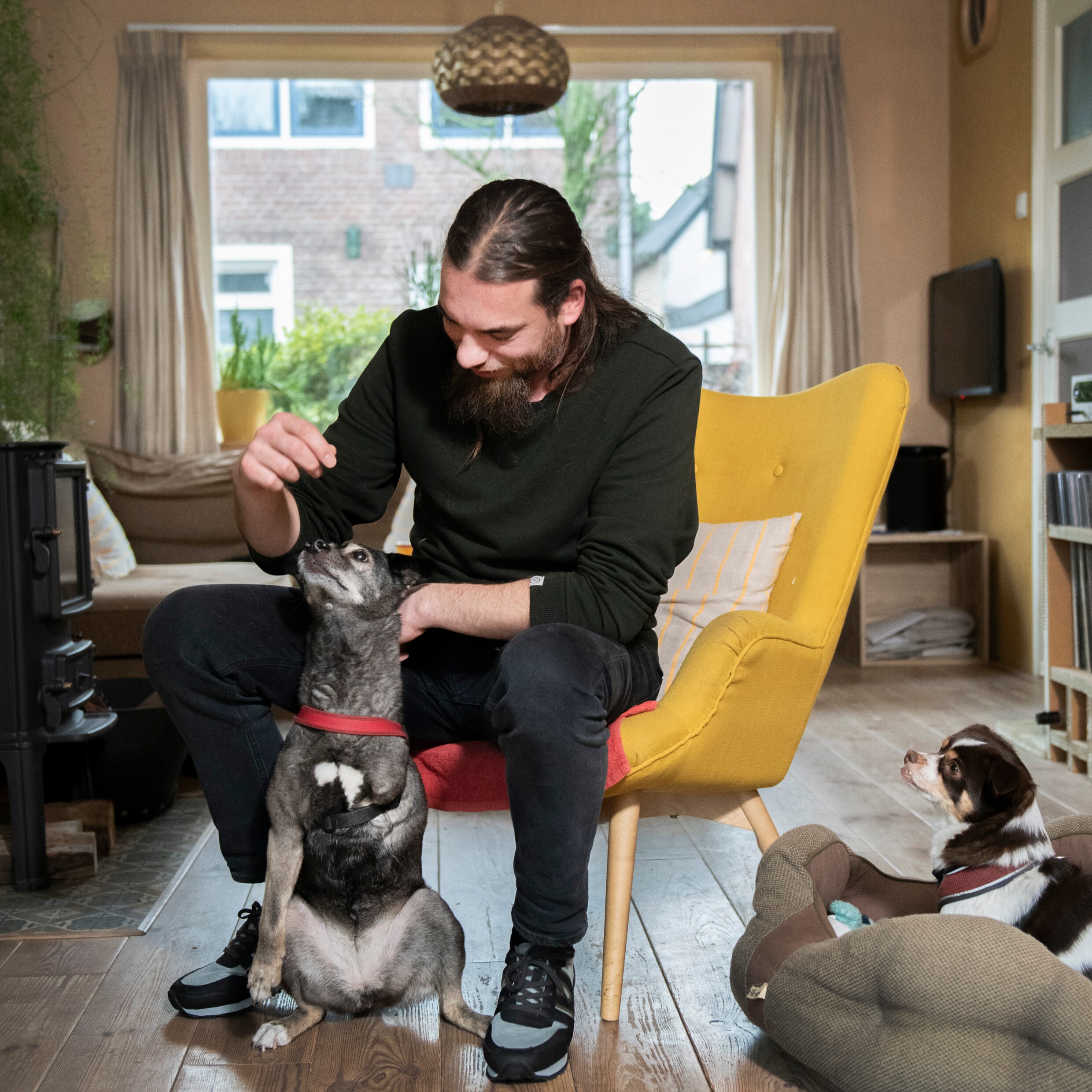 Je huisdier veganistisch maken: de oplossing voor het CO2-probleem? | Trouw