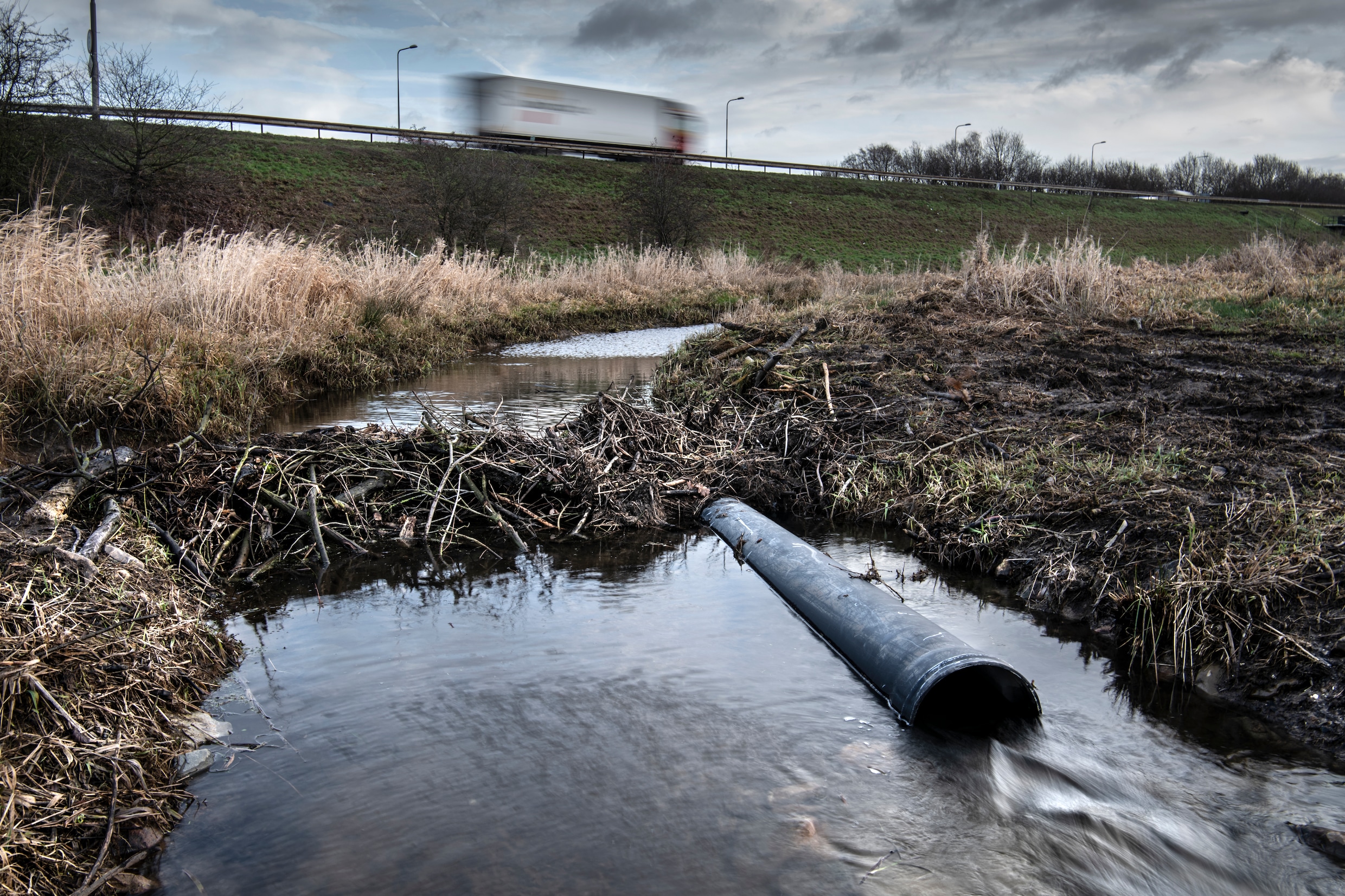 Last van een beverdam? Zo ben je de dieren te slim af, zonder hun dam ...