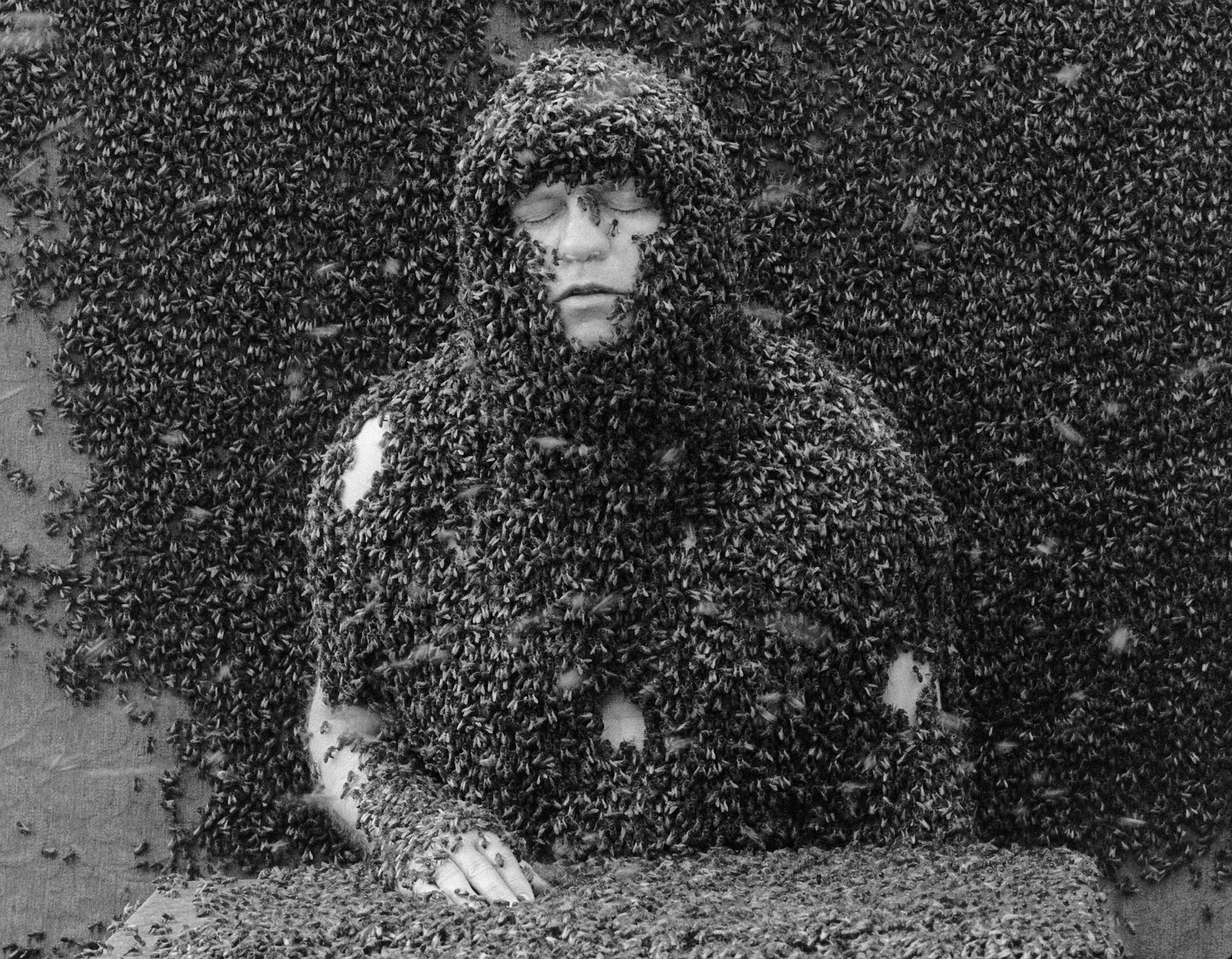 Doodstil rouwen bij een wak in de nieuwste film van Jeroen Eisinga | Trouw