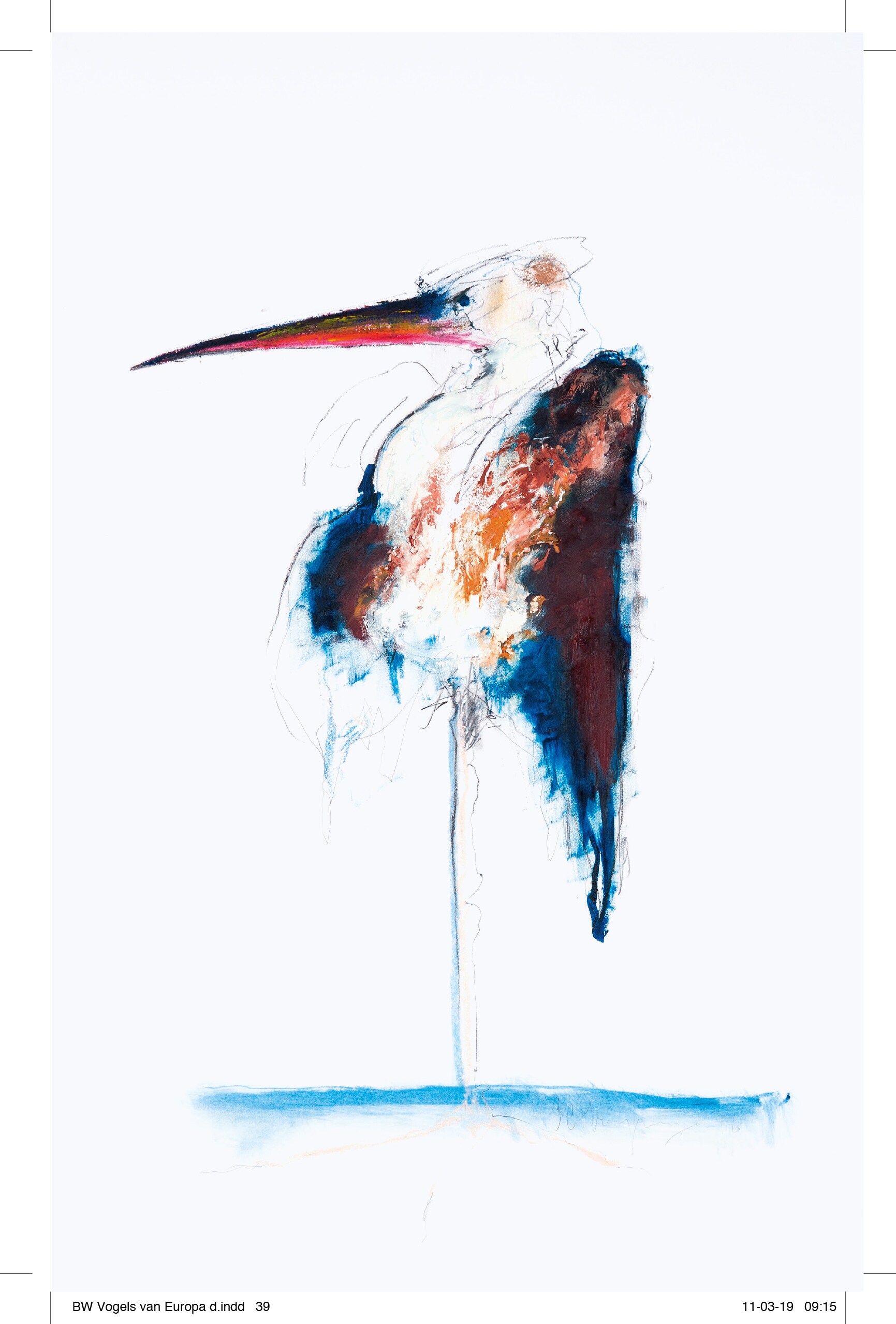 Deze kunstenaar maakt zich druk om wel- en niet-bestaande vogels en wil ...