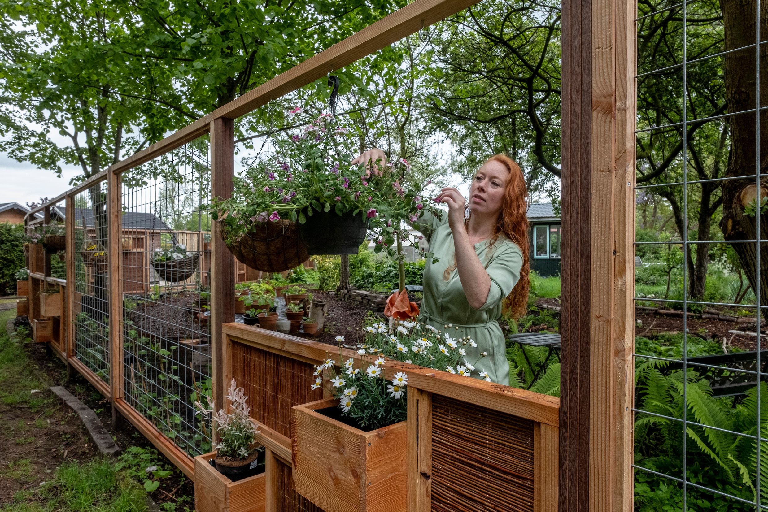 Zo maak je een tuinafscheiding die privacy creëert en toch duurzaam is ...