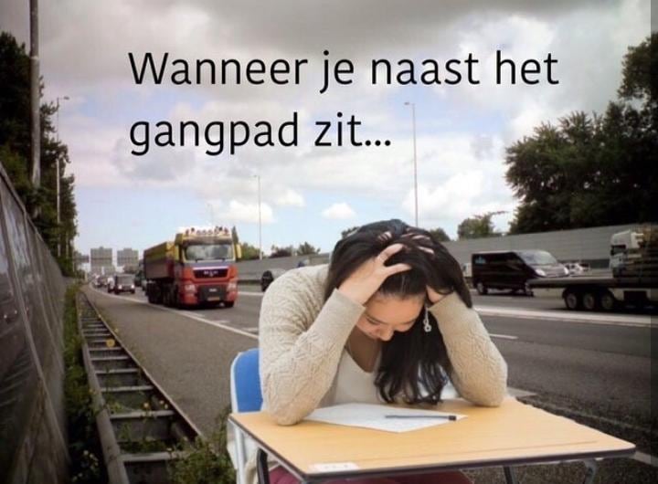 Het geheim van een succesvolle meme | Trouw
