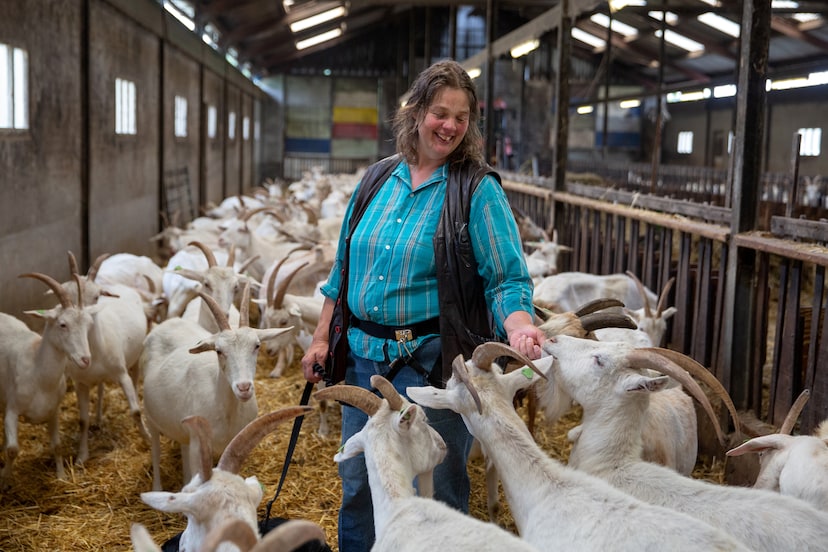 Het beginnen of overnemen van een biologische boerderij is haast ...