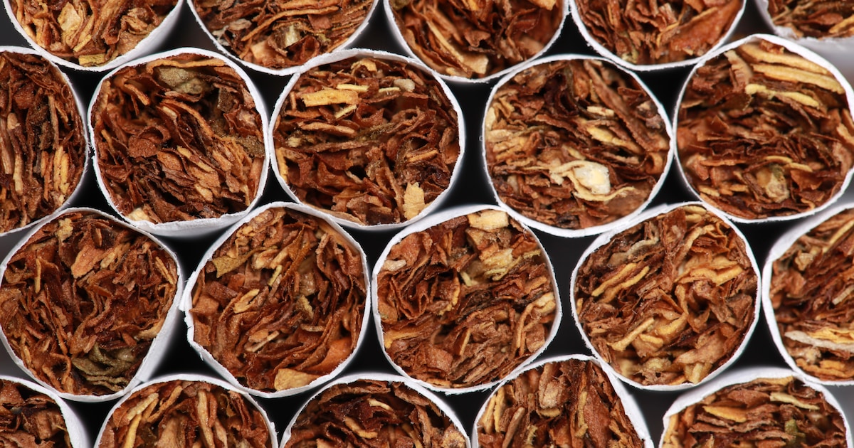 Hoe het Nederlandse anti-rookbeleid de tabaksindustrie in de kaart ...