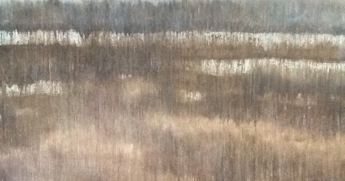 Kunst met modder en mist in het Biesbosch Museum | Trouw