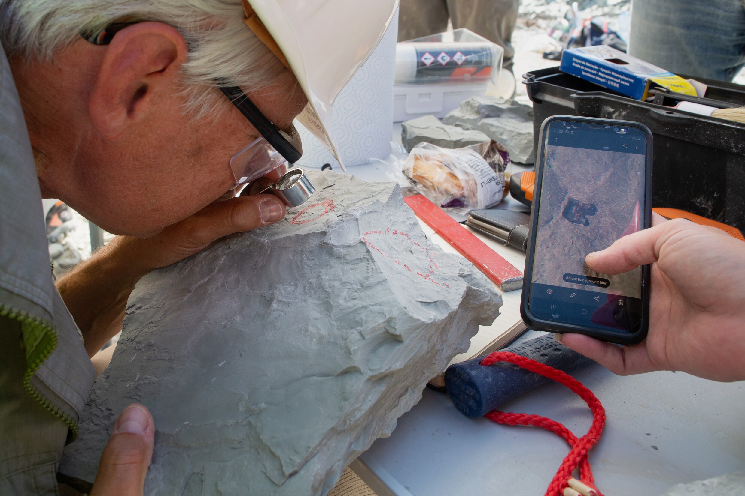 Ook in de groeve van Winterswijk kan zomaar een nieuwe soort gevonden ...