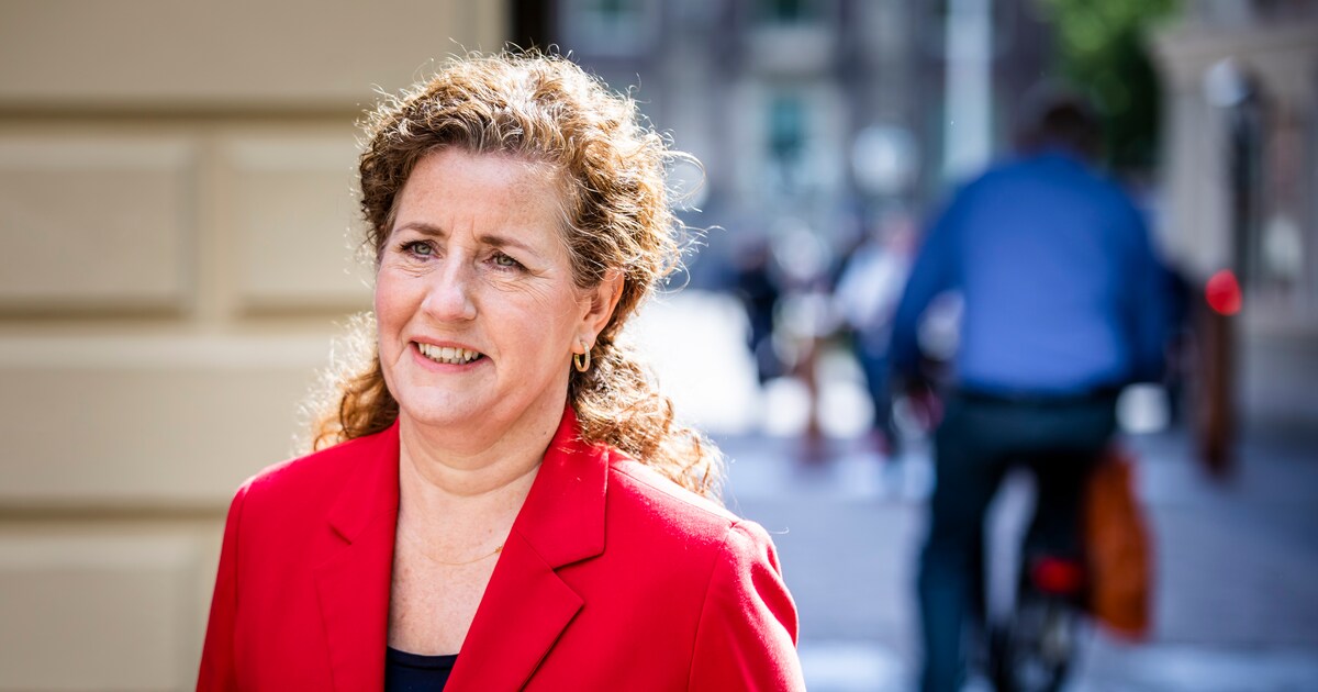 Ingrid van Engelshoven: een D66-minister gevangen in het regeerakkoord ...