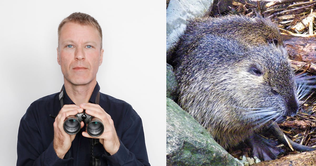 Liever een bever dan een rat | Trouw