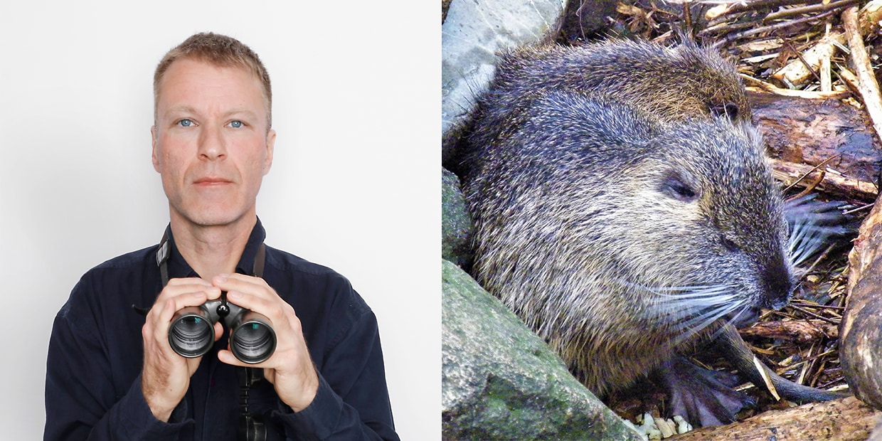 Liever een bever dan een rat | Trouw