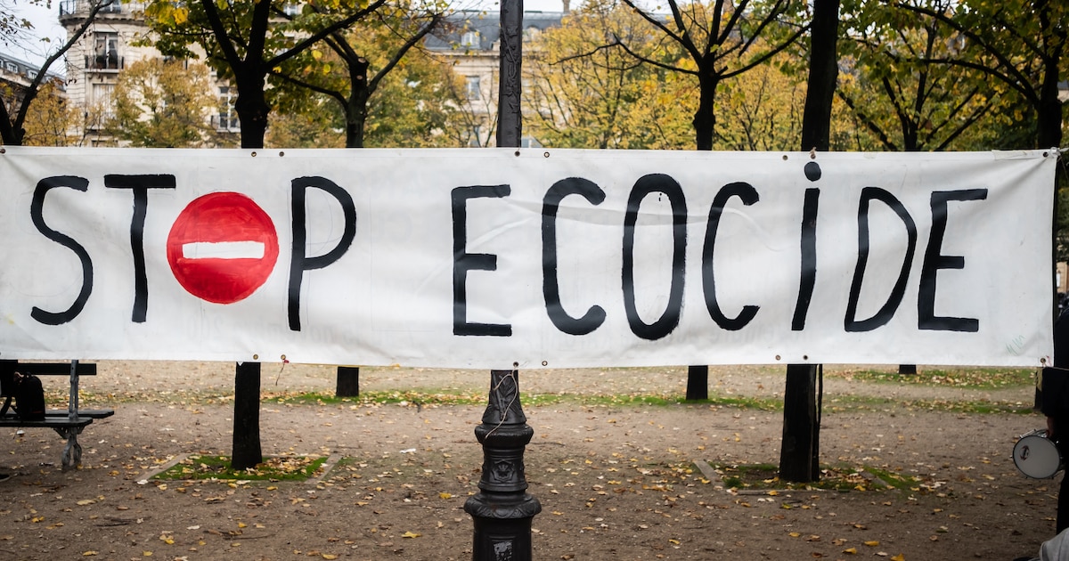 Gaza splijt nieuwe milieugroep: Nederlands team uit ‘Stop Ecocide ...