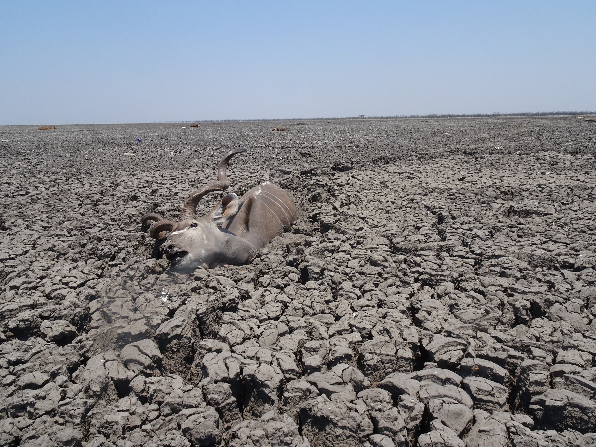 Waar is het water van Botswana gebleven? | Trouw
