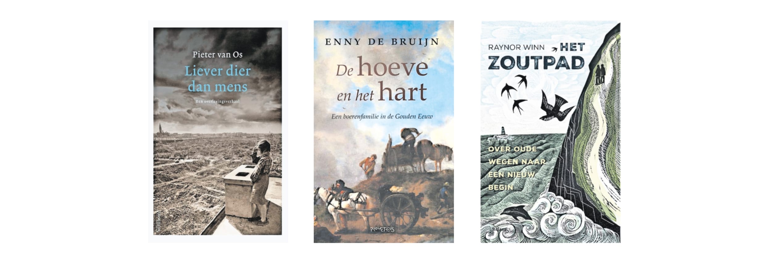 De beste boeken van 2019 volgens onze recensenten | Trouw