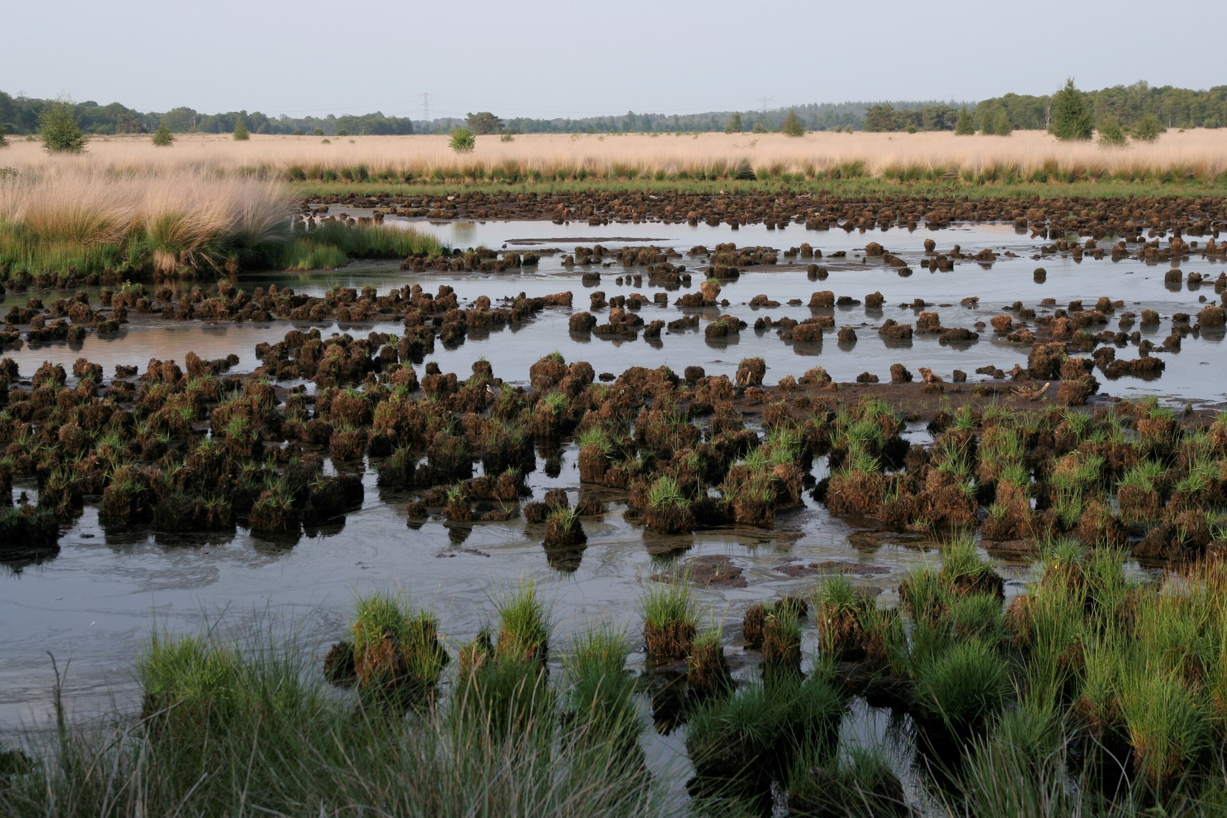 Opnieuw tegenvaller voor minister Schouten; schrappen Natura 2000 ...
