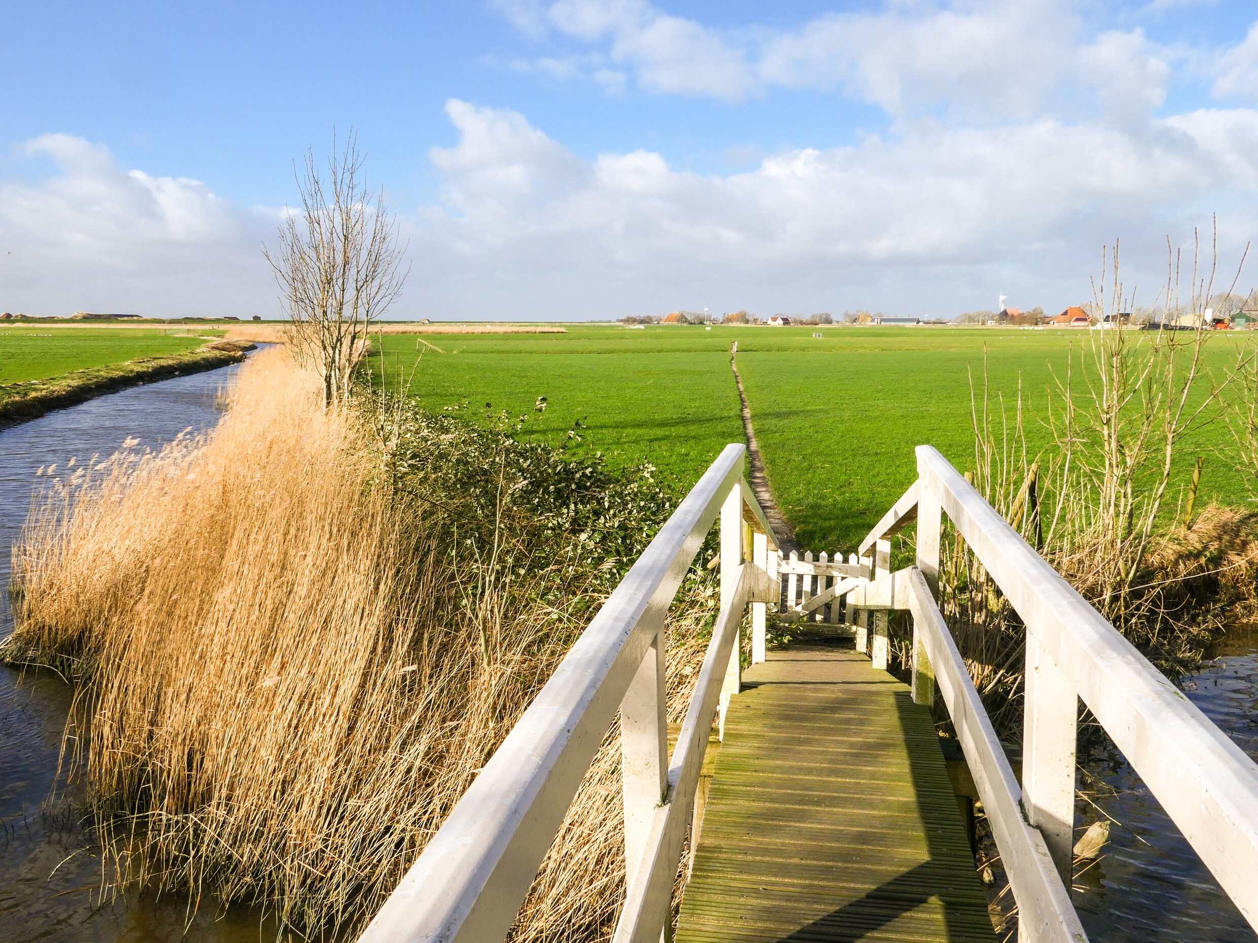 Workum: terug naar de natuur van Jopie | Trouw