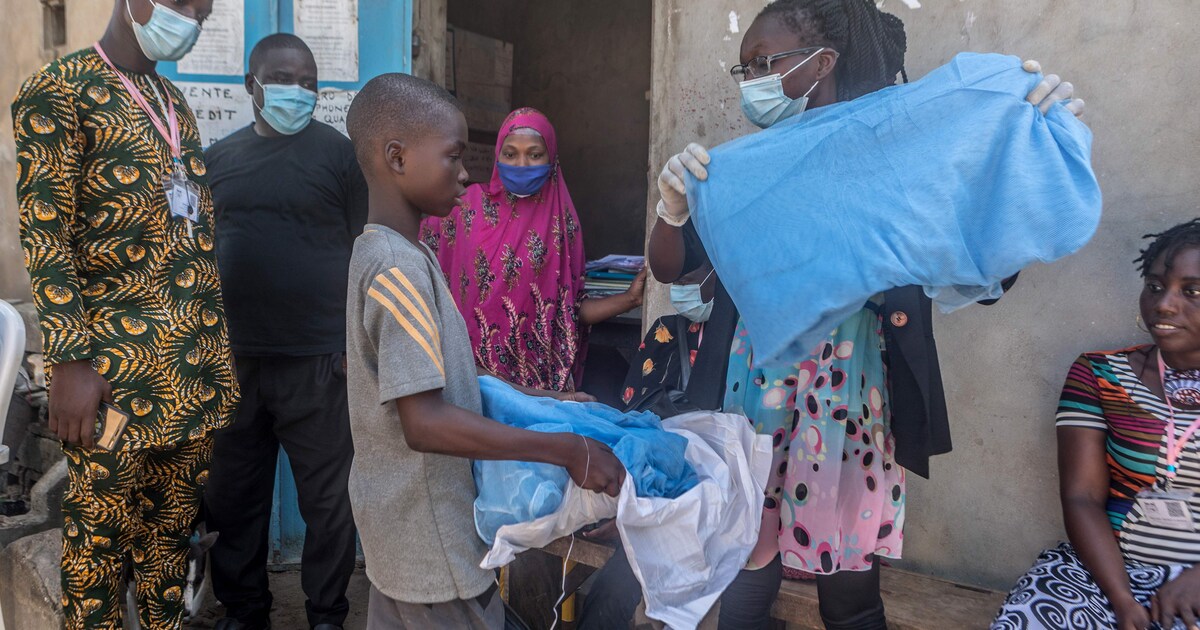 Schimmeltje kan strijd tegen malariamug verder helpen | Trouw