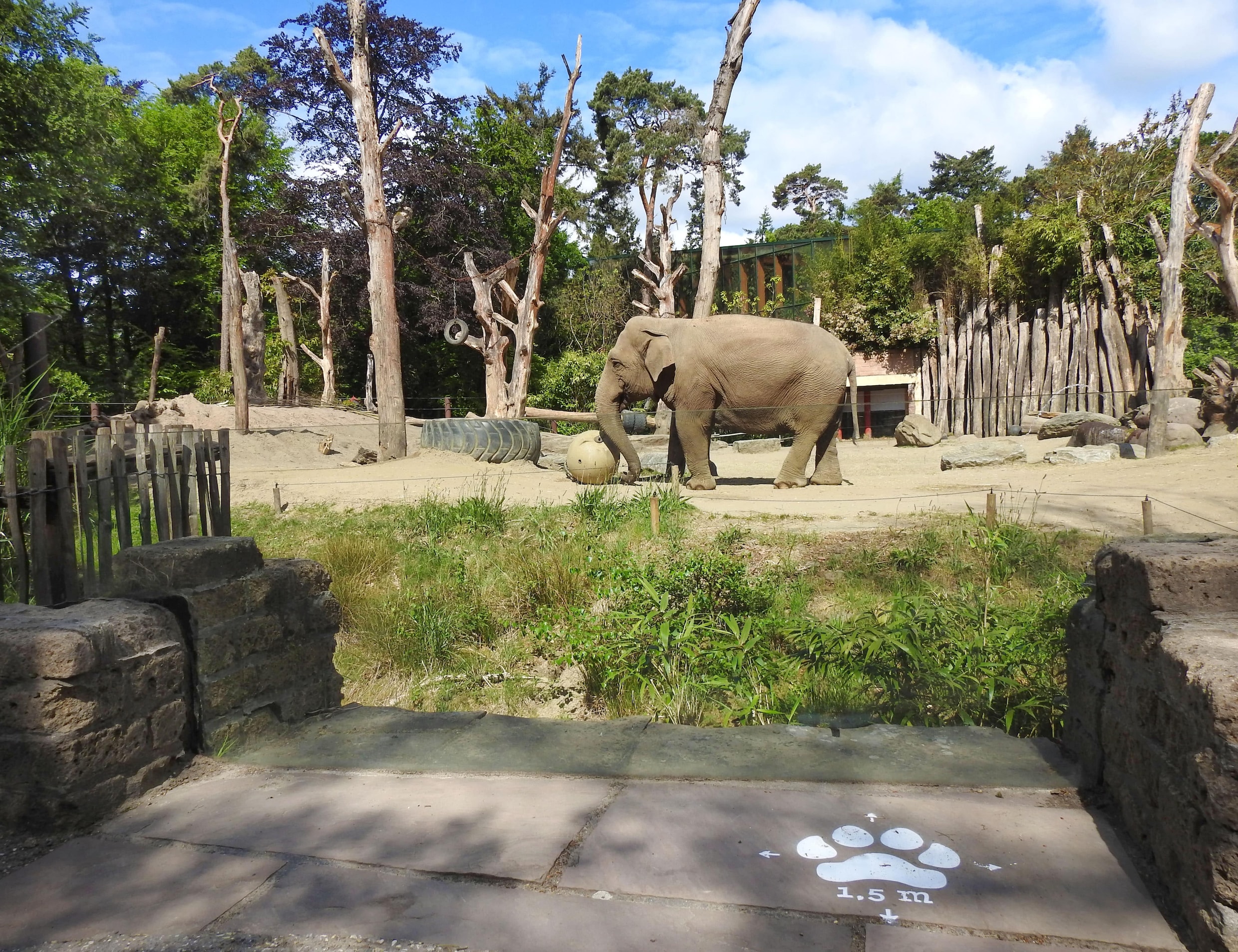 Een duurzaam parkeerdek geeft de olifanten in Amersfoort een warm ...