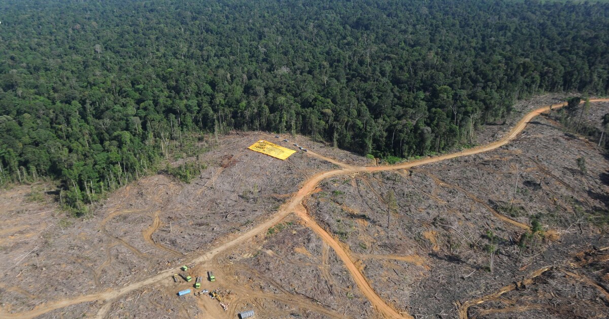 Vliegtuig neergestort op Sumatra | Trouw
