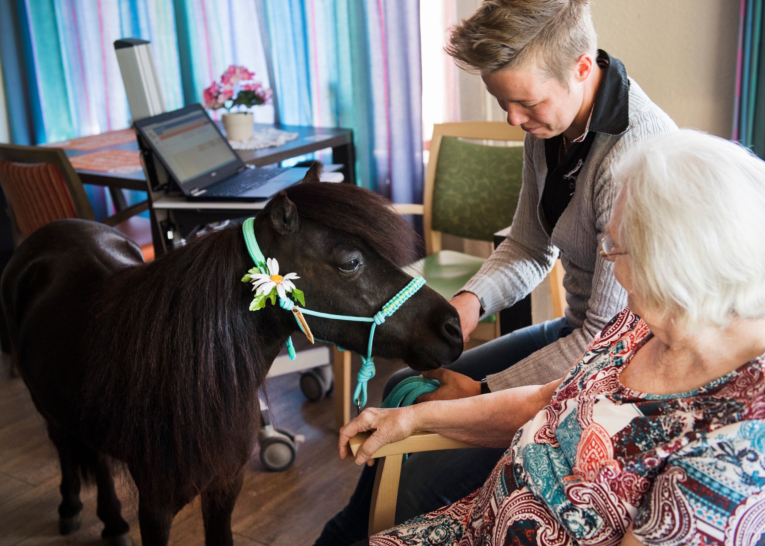 Een hond, een paard of toch maar een psycholoog? | Trouw
