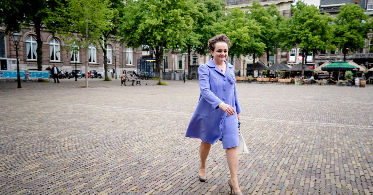 Kamer ontevreden over de hulp aan gedupeerden toeslagenaffaire | Trouw