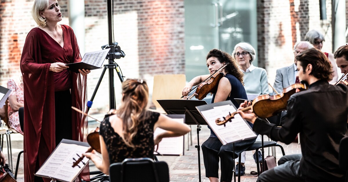 Mini-festival in Delft maakt het gemis meer dan goed | Trouw