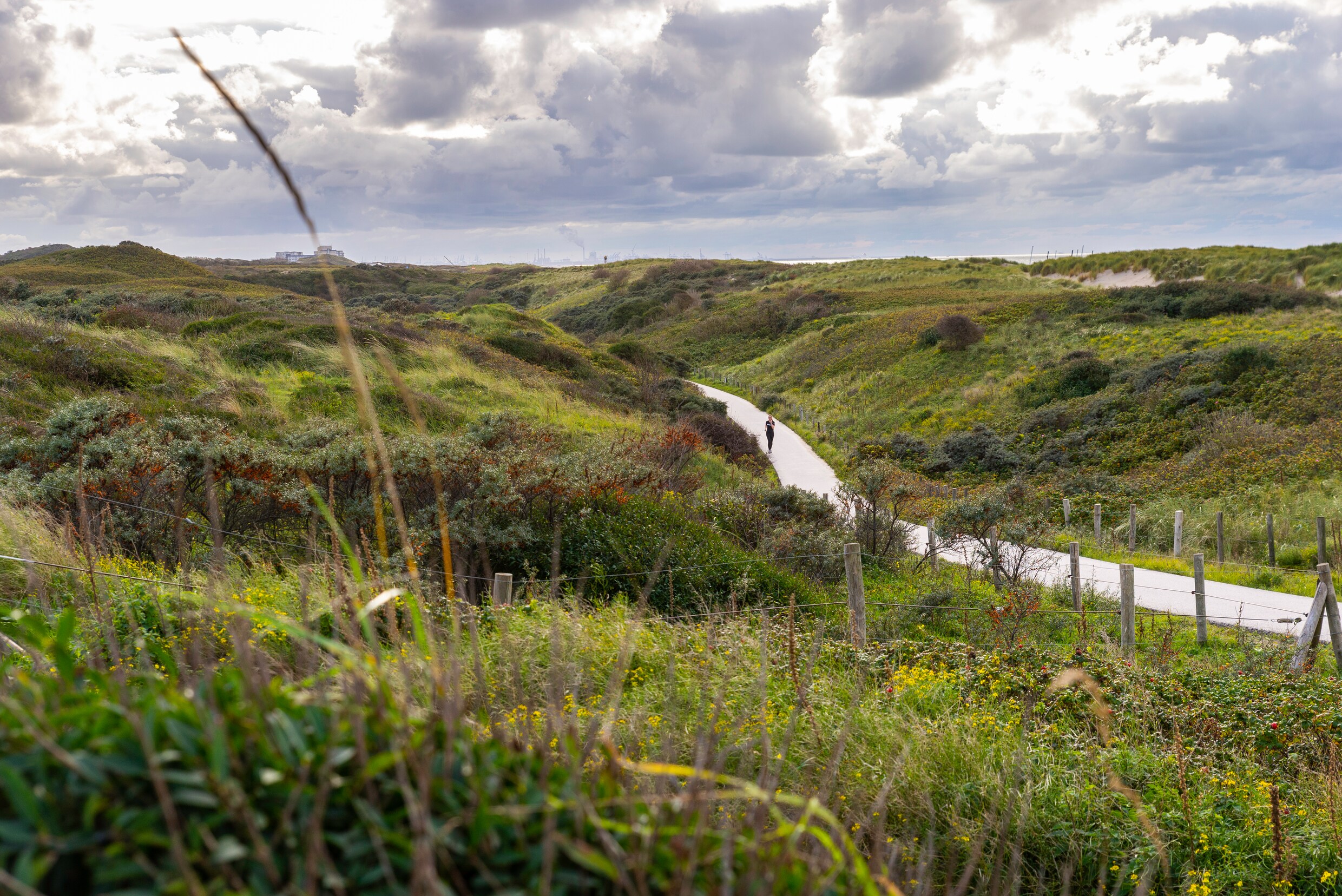 Op de fiets over de nieuwe LF Kustroute door duinen, kleine badplaatsen ...