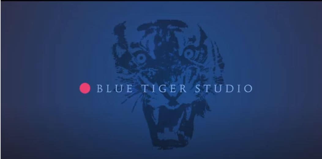 Wat voor uitgeverij is De Blauwe Tijger, die wordt genoemd in het ...