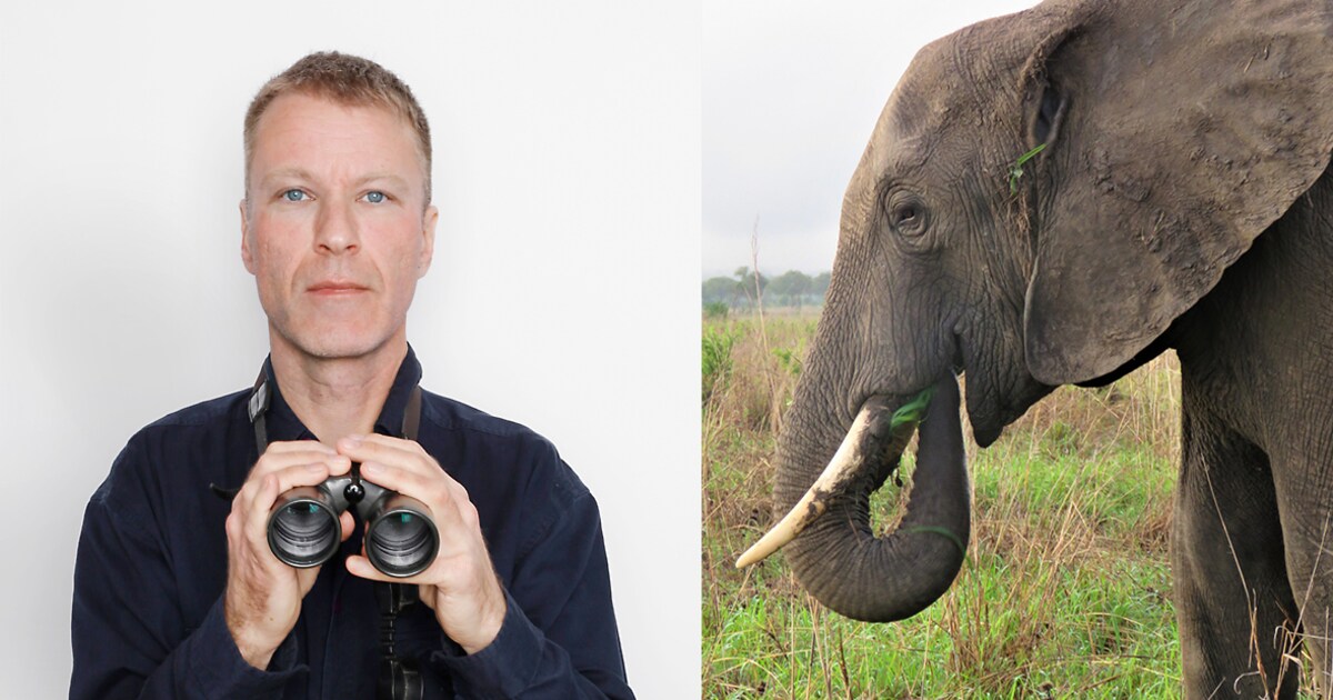 Poëzie over dieren waar je geen genoeg van krijgt | Trouw