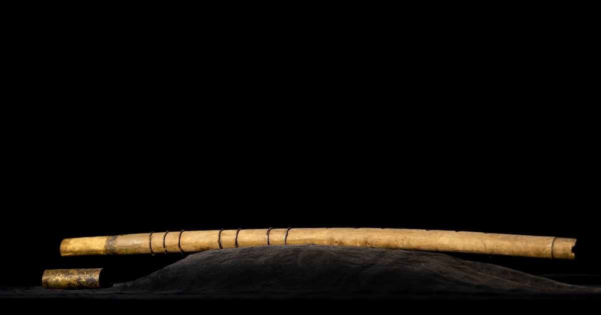 De oudste fluit van Nederland lag vijf eeuwen onder water | Trouw